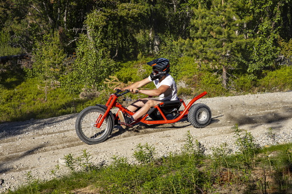 Mountain carts Dagali Fjellpark